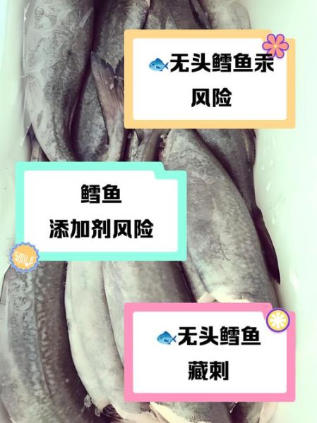 超市冷冻鳕鱼为什么不能吃_鳕鱼冷冻后还能吃吗-第2张图片-山城妙识 超市冷冻鳕鱼为什么不能吃_鳕鱼冷冻后还能吃吗-第2张图片-山城妙识