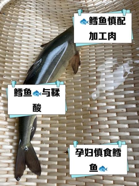 超市冷冻鳕鱼为什么不能吃_鳕鱼冷冻后还能吃吗-第3张图片-山城妙识 超市冷冻鳕鱼为什么不能吃_鳕鱼冷冻后还能吃吗-第3张图片-山城妙识