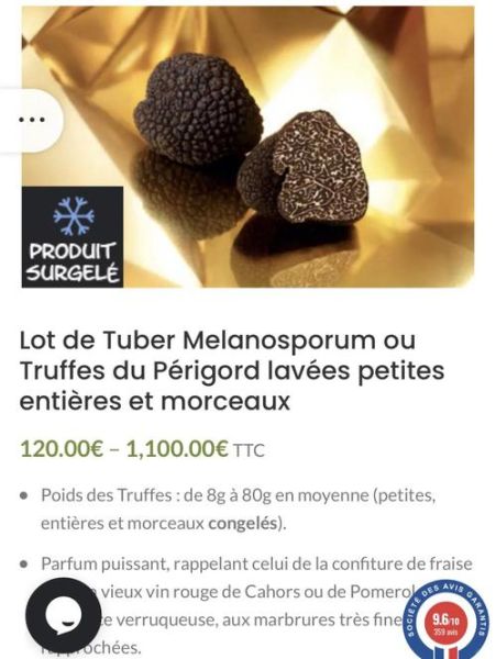 松露猪怎么训练_松露猪价格多少钱一只-第3张图片-山城妙识