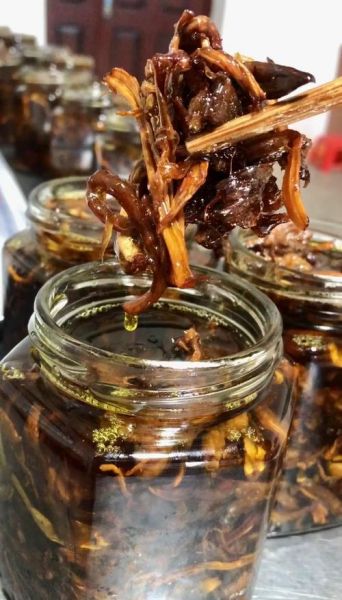 油鸡枞菌怎么保存_油鸡枞菌的做法步骤-第3张图片-山城妙识