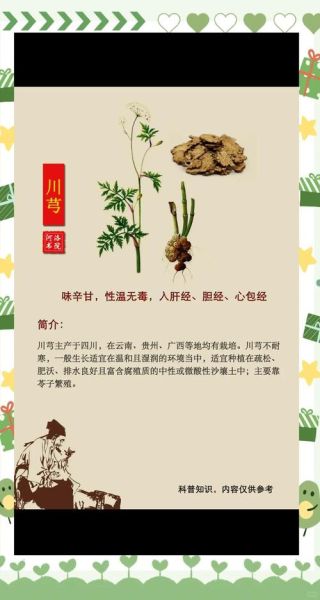 川芎的功效与作用禁忌_川芎用量多少克才安全-第2张图片-山城妙识 川芎的功效与作用禁忌_川芎用量多少克才安全-第2张图片-山城妙识