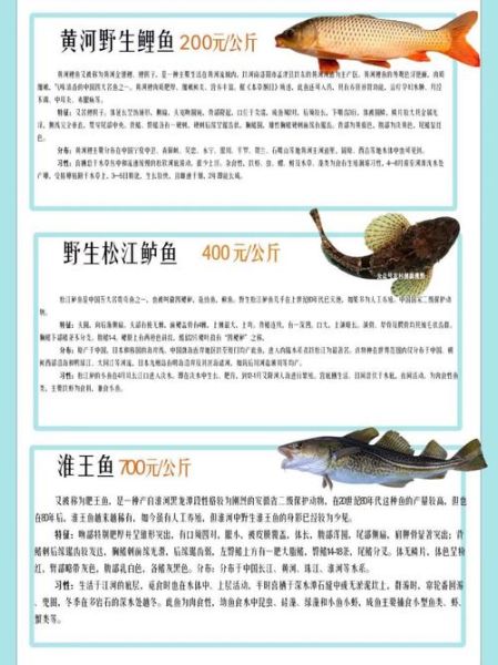 珍鱼是什么鱼_珍鱼产地在哪里-第1张图片-山城妙识