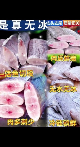 珍鱼是什么鱼_珍鱼产地在哪里-第3张图片-山城妙识