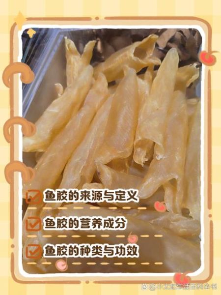 鱼肚是什么_鱼肚和花胶的区别-第3张图片-山城妙识