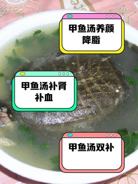 王八汤补什么_王八汤的功效与作用-第1张图片-山城妙识