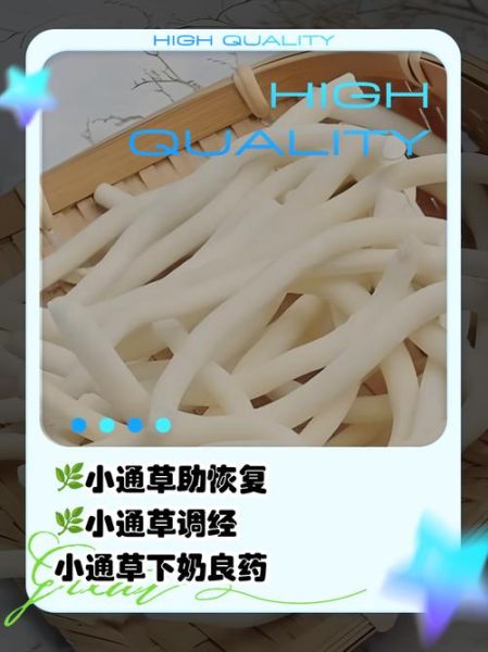 小通草的功效与作用_小通草怎么吃效果最好-第2张图片-山城妙识