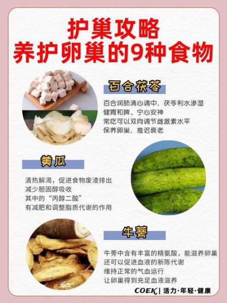 卵巢保养吃什么食物好_女性必看营养清单-第2张图片-山城妙识