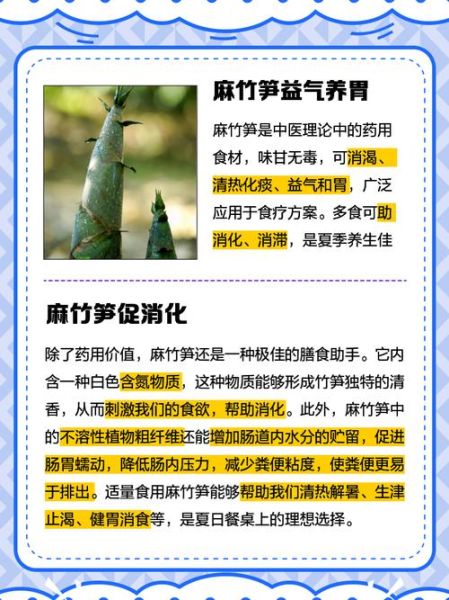 竹笋的功效与作用_竹笋吃了有什么好处-第2张图片-山城妙识 竹笋的功效与作用_竹笋吃了有什么好处-第2张图片-山城妙识