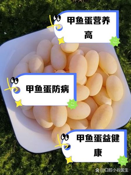 甲鱼蛋怎么吃_甲鱼蛋的营养价值与做法-第2张图片-山城妙识