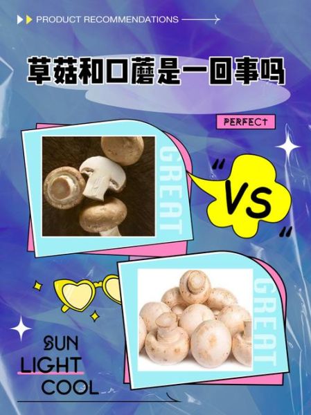 草菇不能和什么一起吃_草菇与什么食物相克-第1张图片-山城妙识 草菇不能和什么一起吃_草菇与什么食物相克-第1张图片-山城妙识