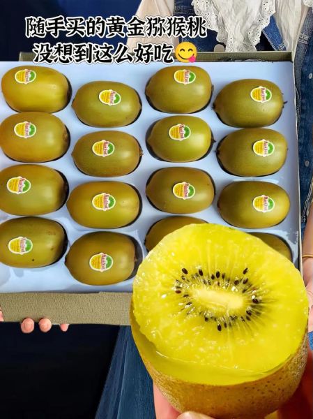 黄金奇异果的营养价值_黄金奇异果的功效与作用-第1张图片-山城妙识 黄金奇异果的营养价值_黄金奇异果的功效与作用-第1张图片-山城妙识