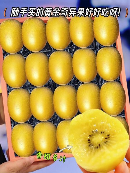 黄金奇异果的营养价值_黄金奇异果的功效与作用-第2张图片-山城妙识 黄金奇异果的营养价值_黄金奇异果的功效与作用-第2张图片-山城妙识