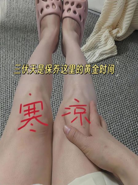 艾草膝盖贴怎么用_艾草膝盖贴效果好吗-第2张图片-山城妙识