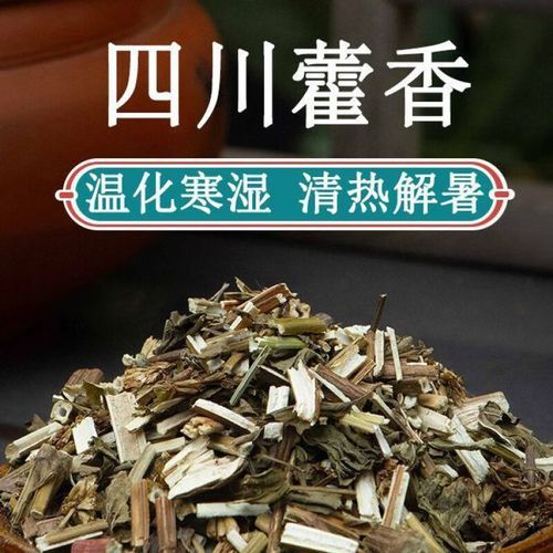 藿香叶图片_如何辨别真假藿香叶-第1张图片-山城妙识