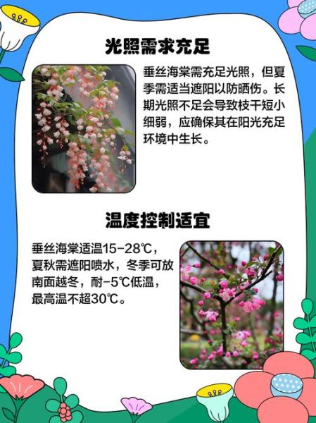 垂丝海棠什么时候开花_垂丝海棠怎么养护-第2张图片-山城妙识