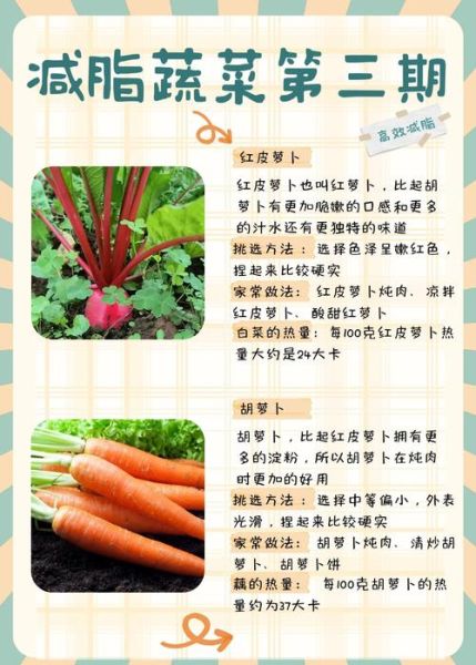 红萝卜的功效与作用及禁忌_红萝卜怎么吃最健康-第2张图片-山城妙识