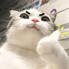 小泡芙猫咪表情包怎么保存_小泡芙猫咪表情包出处-第1张图片-山城妙识