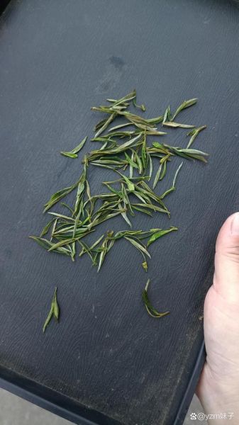 黄山有什么特产值得带_黄山必买伴手礼清单-第2张图片-山城妙识