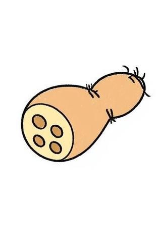 莲藕怎么画_莲藕简笔画步骤-第2张图片-山城妙识