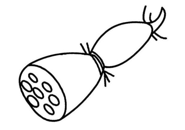 莲藕怎么画_莲藕简笔画步骤-第3张图片-山城妙识