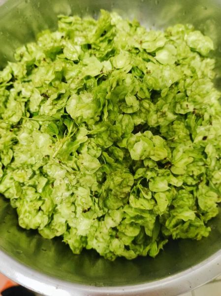 榆钱图片大全_榆钱长什么样-第3张图片-山城妙识