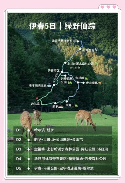 伊春自驾游路线怎么走_伊春旅游攻略自驾游最佳时间-第3张图片-山城妙识 伊春自驾游路线怎么走_伊春旅游攻略自驾游最佳时间-第3张图片-山城妙识