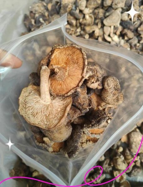 干货有哪些_干货怎么保存-第2张图片-山城妙识 干货有哪些_干货怎么保存-第2张图片-山城妙识