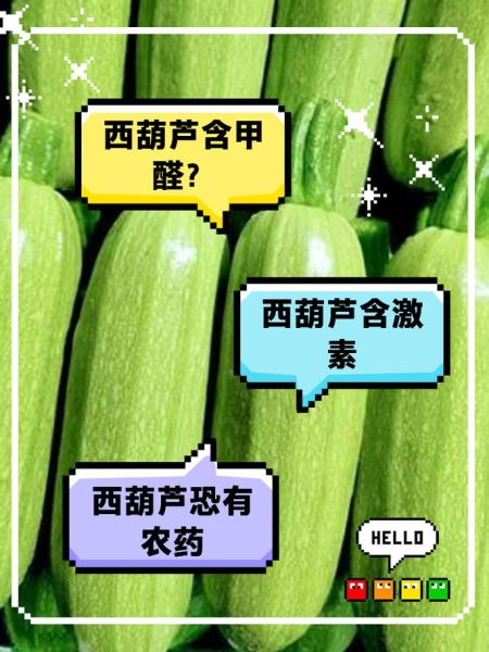 吃西葫芦禁忌_哪些人不能吃西葫芦-第3张图片-山城妙识