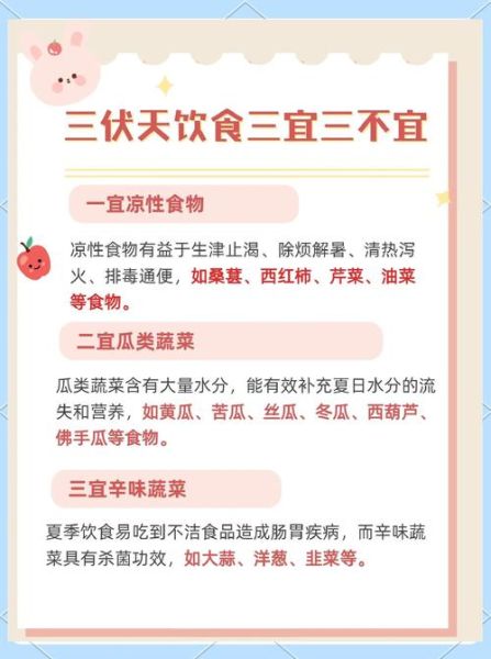 三伏天怎么调理身体_三伏天吃什么好-第3张图片-山城妙识