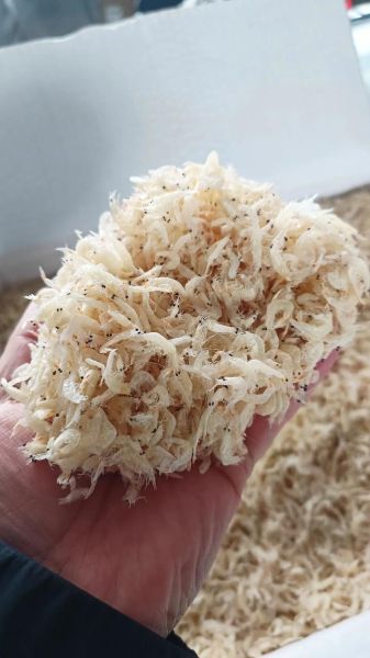 虾皮多少钱一斤_虾皮价格受哪些因素影响-第1张图片-山城妙识 虾皮多少钱一斤_虾皮价格受哪些因素影响-第1张图片-山城妙识