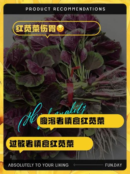 红苋菜什么人不能吃_红苋菜禁忌有哪些-第2张图片-山城妙识 红苋菜什么人不能吃_红苋菜禁忌有哪些-第2张图片-山城妙识