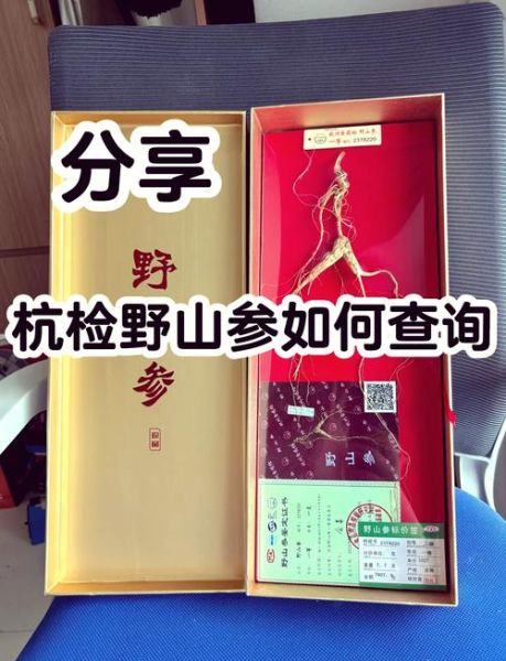真正野生人参图片_如何辨别真假-第2张图片-山城妙识