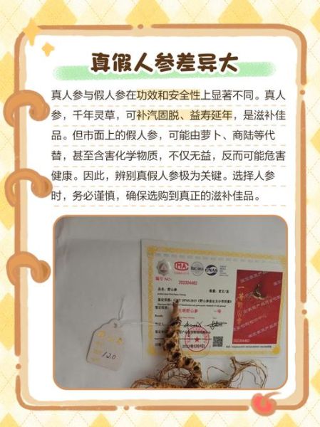 真正野生人参图片_如何辨别真假-第3张图片-山城妙识