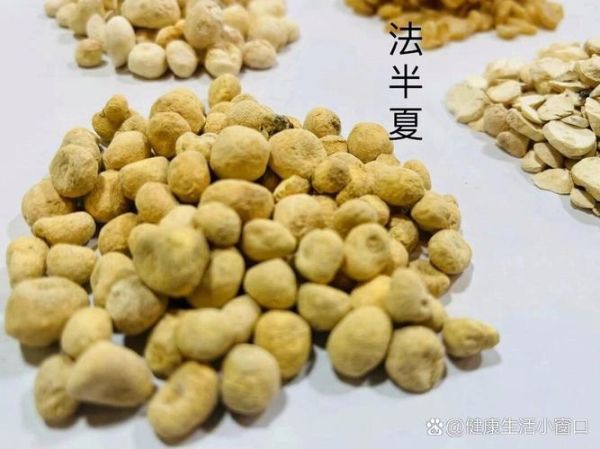 瓜蒌薤白半夏汤的功效与作用_瓜蒌薤白半夏汤适合哪些人-第2张图片-山城妙识 瓜蒌薤白半夏汤的功效与作用_瓜蒌薤白半夏汤适合哪些人-第2张图片-山城妙识