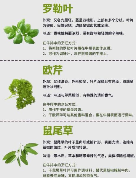 百里香怎么养_百里香和迷迭香的区别-第1张图片-山城妙识