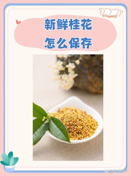 新鲜桂花怎么制作_新鲜桂花怎么保存-第1张图片-山城妙识