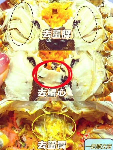 吃螃蟹怎么吃_螃蟹哪些部位不能吃-第2张图片-山城妙识