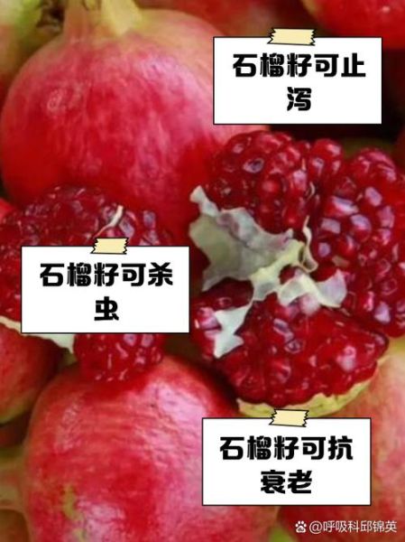 石榴籽能吃吗_怎样吃才安全-第3张图片-山城妙识