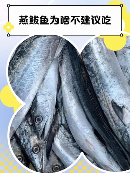 燕鲅鱼的营养价值_燕鲅鱼的功效与作用-第3张图片-山城妙识