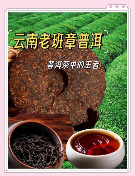 老班章普洱茶多少钱一斤_老班章普洱茶怎么泡-第1张图片-山城妙识 老班章普洱茶多少钱一斤_老班章普洱茶怎么泡-第1张图片-山城妙识