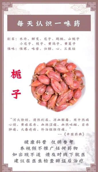 栀子泡水喝的功效与作用_栀子怎么吃不上火-第2张图片-山城妙识