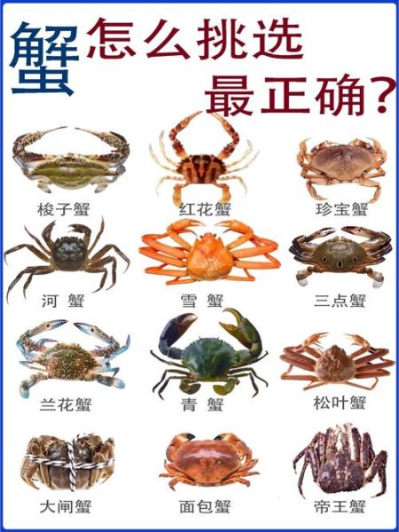 螃蟹种类大全_螃蟹怎么挑选-第2张图片-山城妙识 螃蟹种类大全_螃蟹怎么挑选-第2张图片-山城妙识