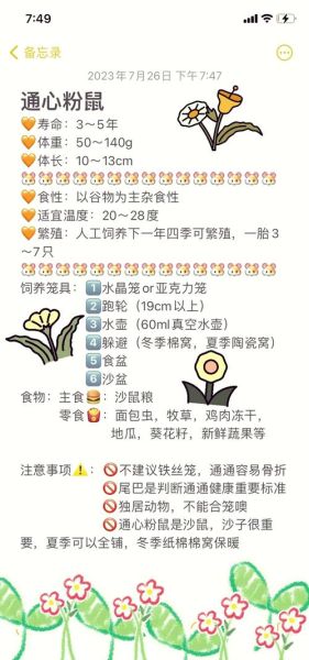 通心粉鼠好养吗_通心粉鼠饲养注意事项-第1张图片-山城妙识 通心粉鼠好养吗_通心粉鼠饲养注意事项-第1张图片-山城妙识