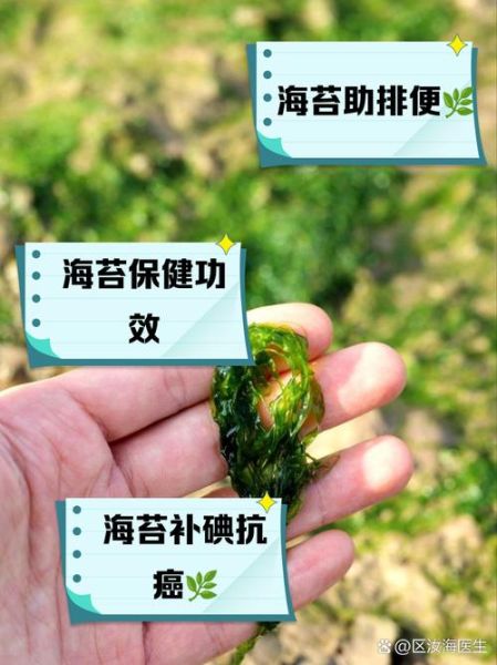 海苔的营养价值有哪些_海苔的功效与作用-第1张图片-山城妙识