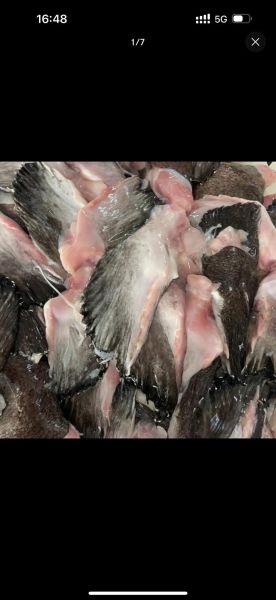 鱼翅品种排行_哪种鱼翅最好-第3张图片-山城妙识 鱼翅品种排行_哪种鱼翅最好-第3张图片-山城妙识