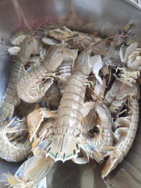 虾爬子是水煮好吃还是蒸好吃_水煮与蒸哪个更鲜-第1张图片-山城妙识