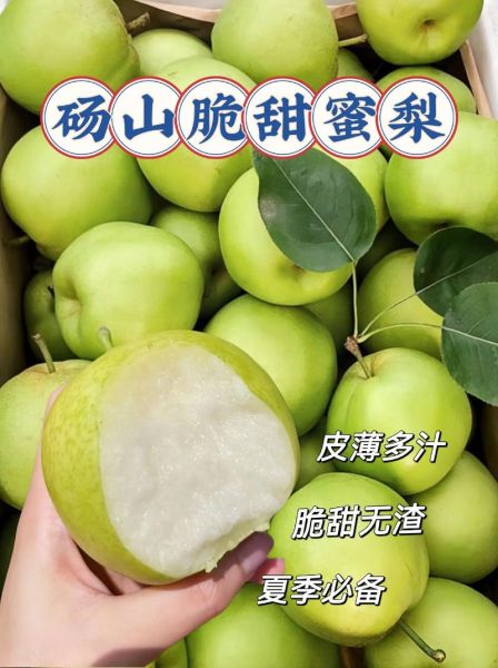 砀山梨什么时候成熟_砀山梨怎么挑选-第1张图片-山城妙识