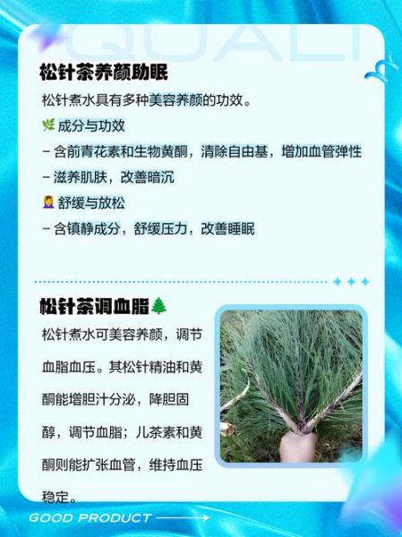 松针煮水的功效与作用_松针煮水能天天喝吗-第1张图片-山城妙识 松针煮水的功效与作用_松针煮水能天天喝吗-第1张图片-山城妙识