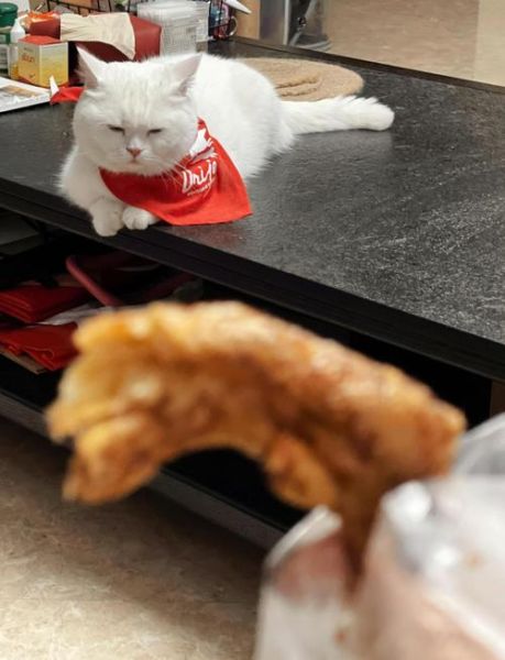 田螺姑娘炸鸭爪怎么做_哪里买最正宗-第3张图片-山城妙识