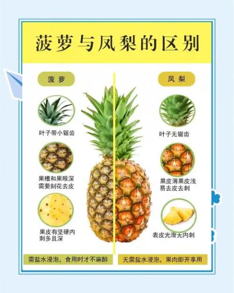 凤梨为什么酸甜多汁_凤梨口感如何挑选-第2张图片-山城妙识